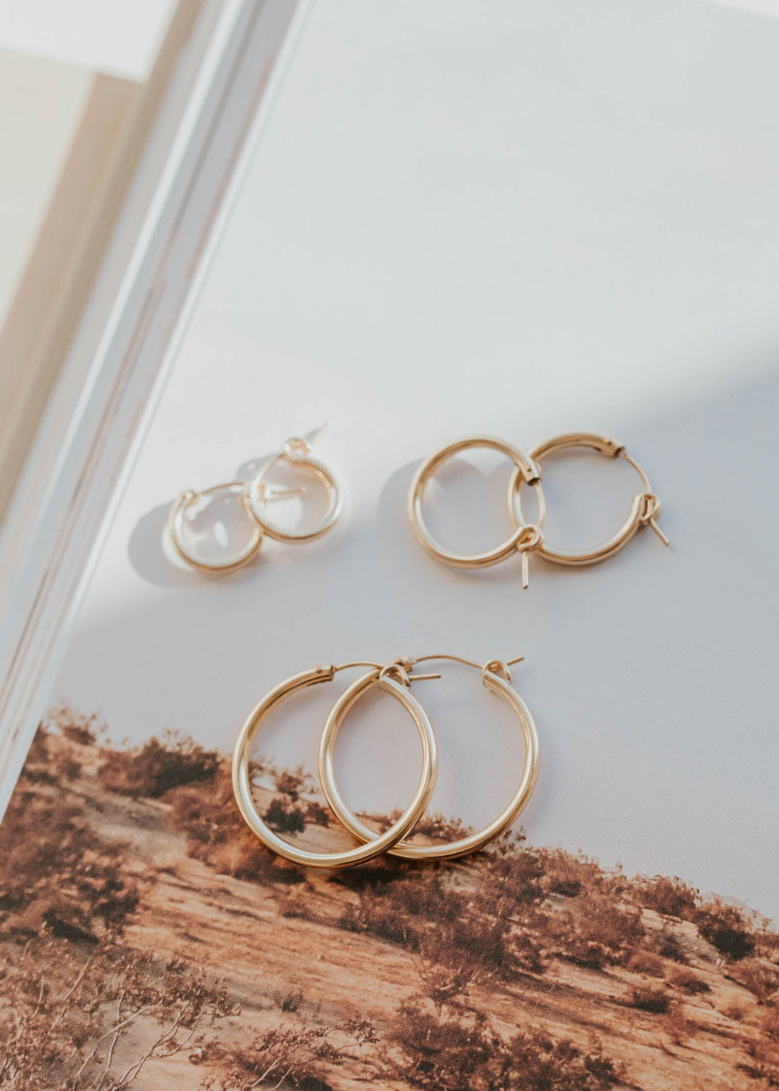 Bold Hoops